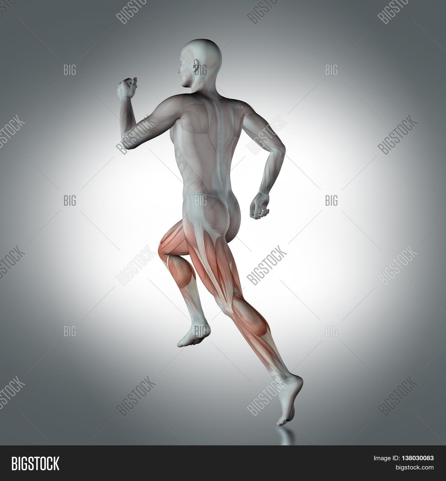 3D Medical Figure Image & Photo (Free Trial) | Bigstock