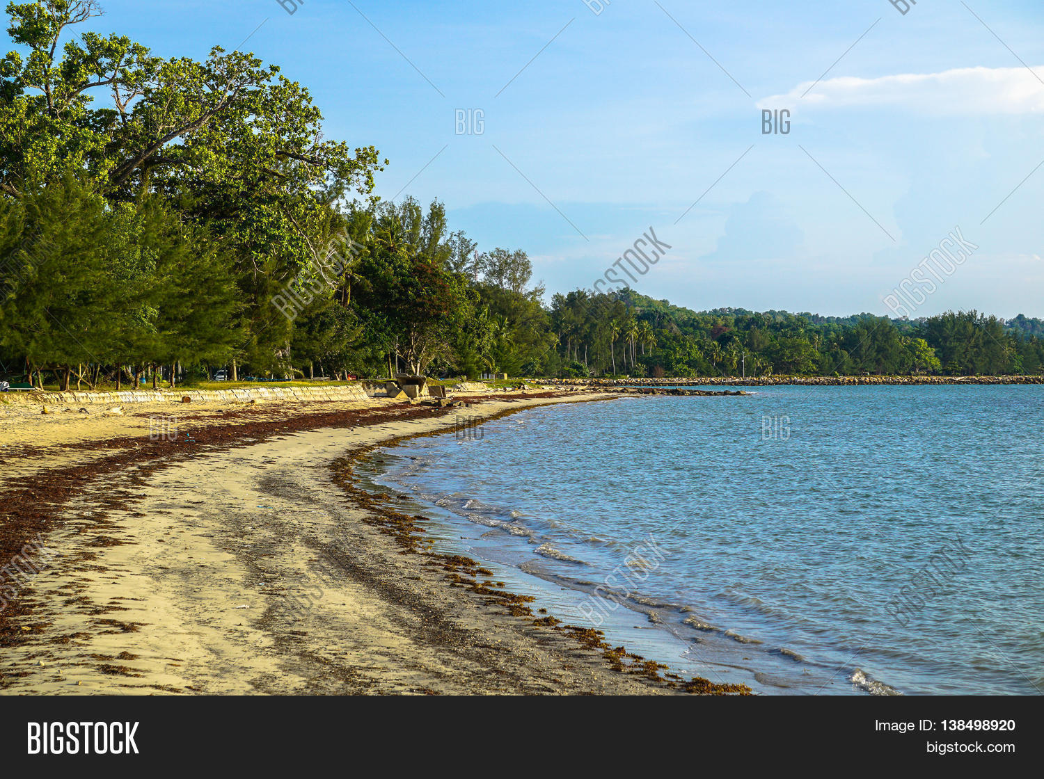 Layang Layang Tropical Image & Photo (Free Trial) | Bigstock