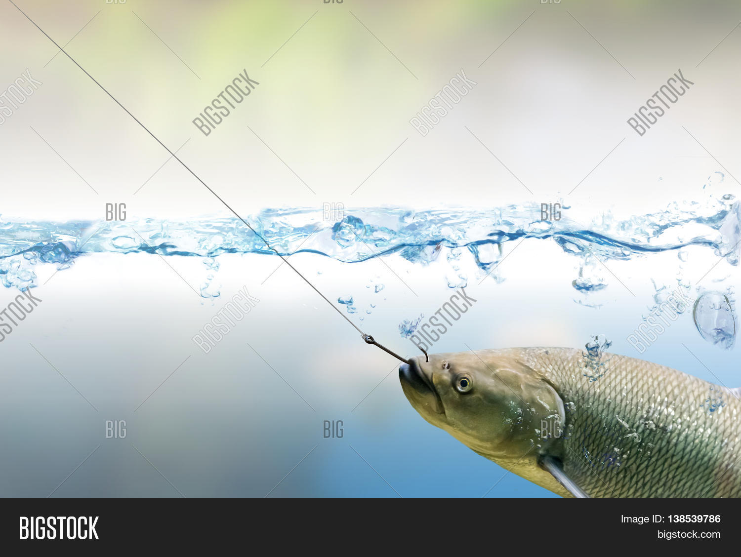 Caught Hooked Fish On Image & Photo (Free Trial) | Bigstock