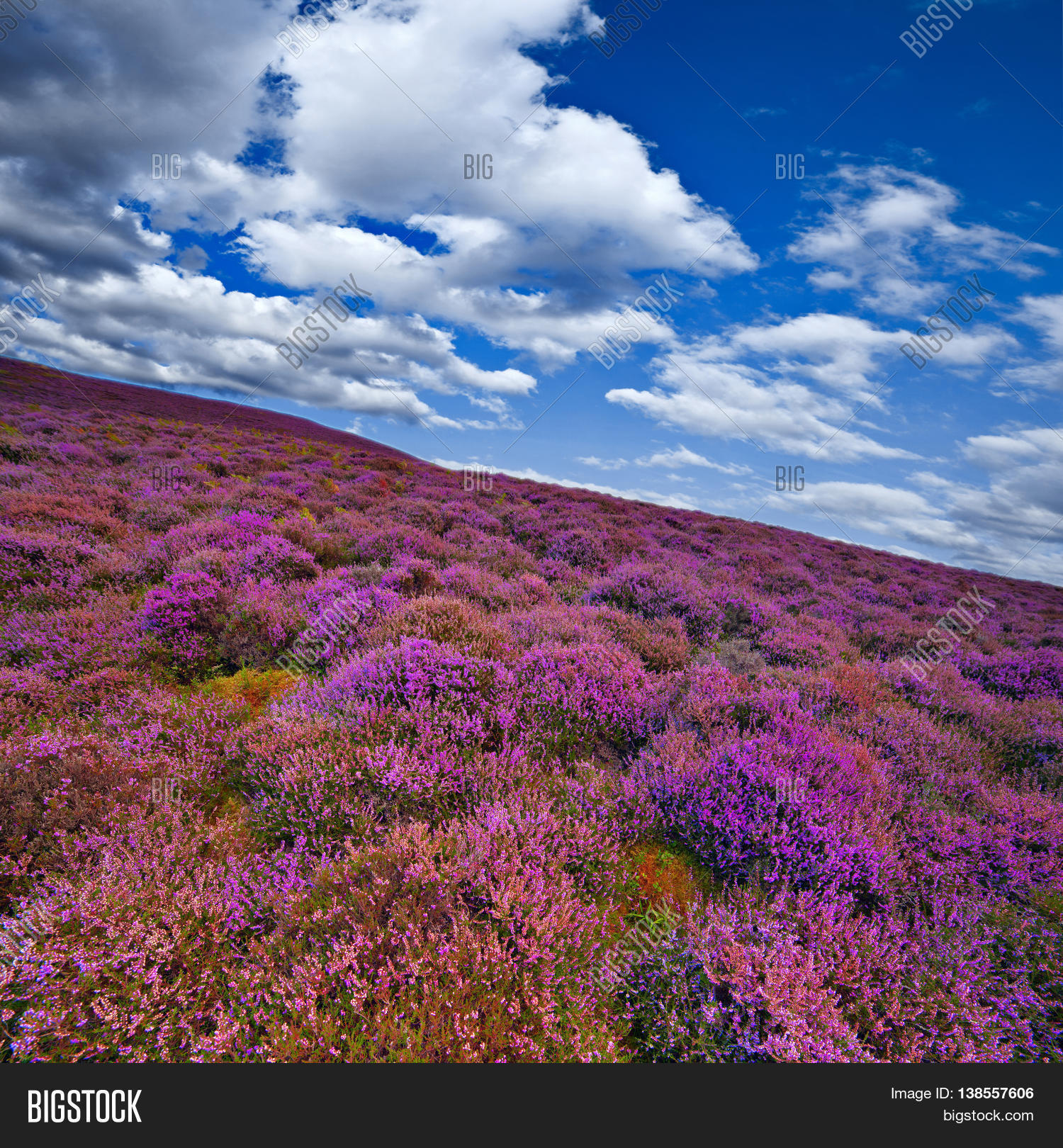 Colorful Hill Slope Image & Photo (Free Trial) | Bigstock