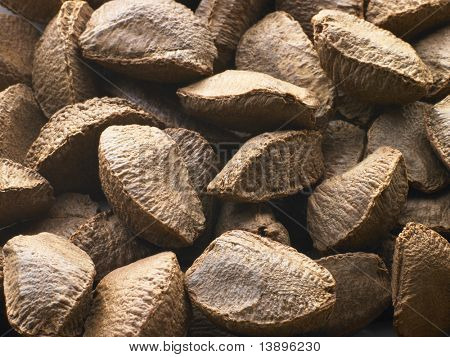 Brazil Nut Shells Image & Photo (Free Trial) | Bigstock