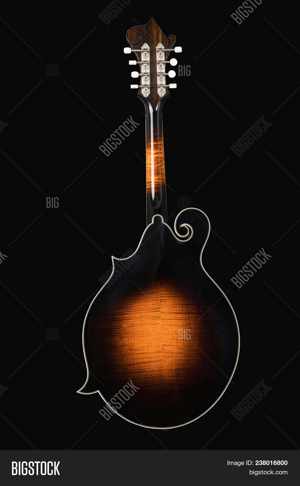 Mandolin Isolated On Image & Photo (Free Trial) | Bigstock
