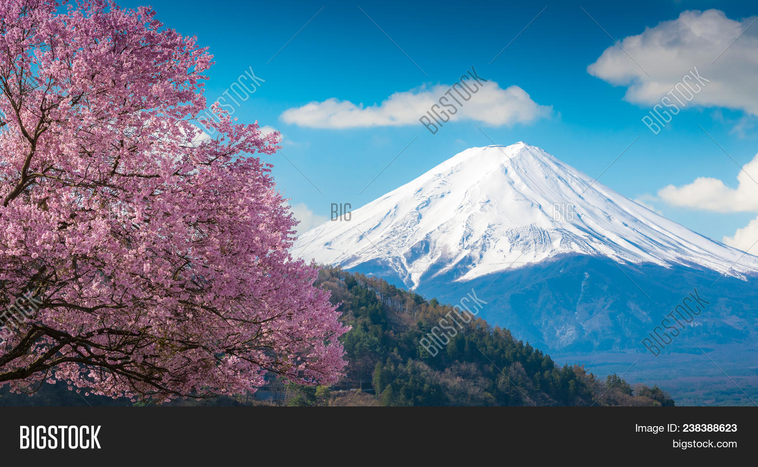 Mountain Fuji Pink Image & Photo (Free Trial) | Bigstock