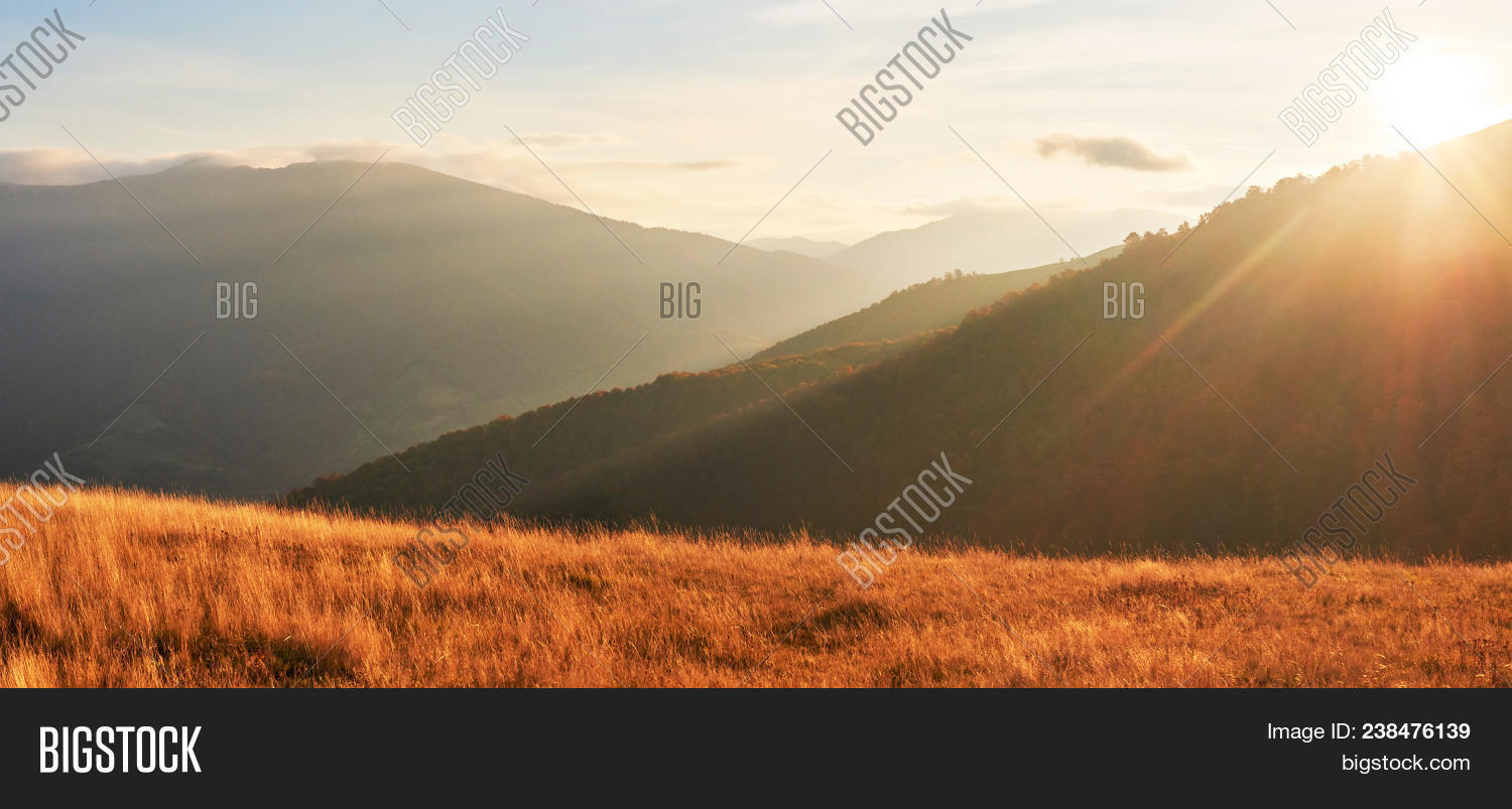 Highland Vegetation Image & Photo (Free Trial) | Bigstock