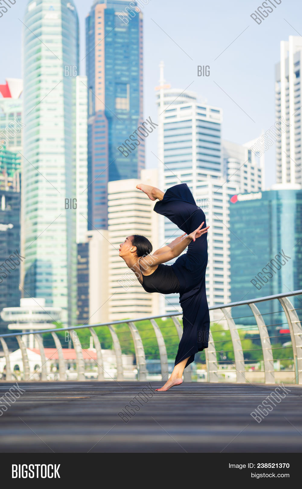 Elegant Ballet Dancer Image & Photo (Free Trial) | Bigstock