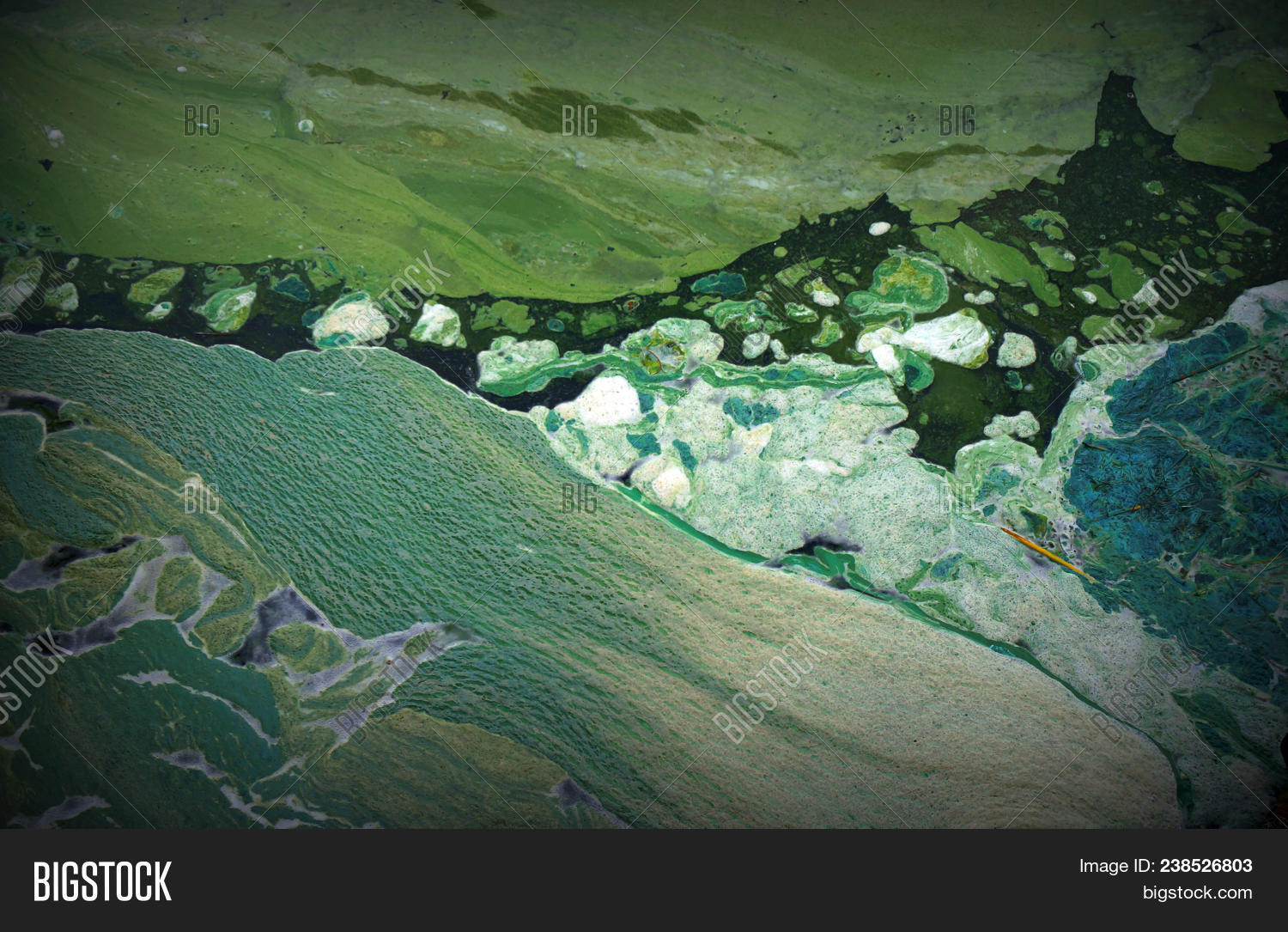 Sludge Texture. Green Image & Photo (Free Trial) | Bigstock