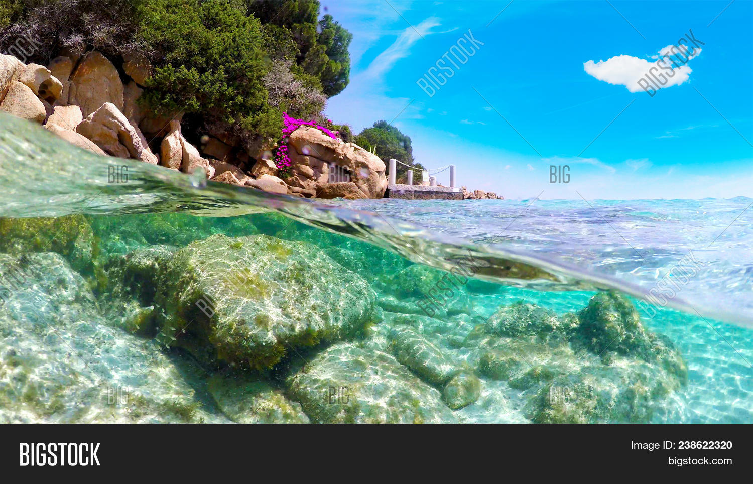 Split Underwater View Image & Photo (Free Trial) | Bigstock