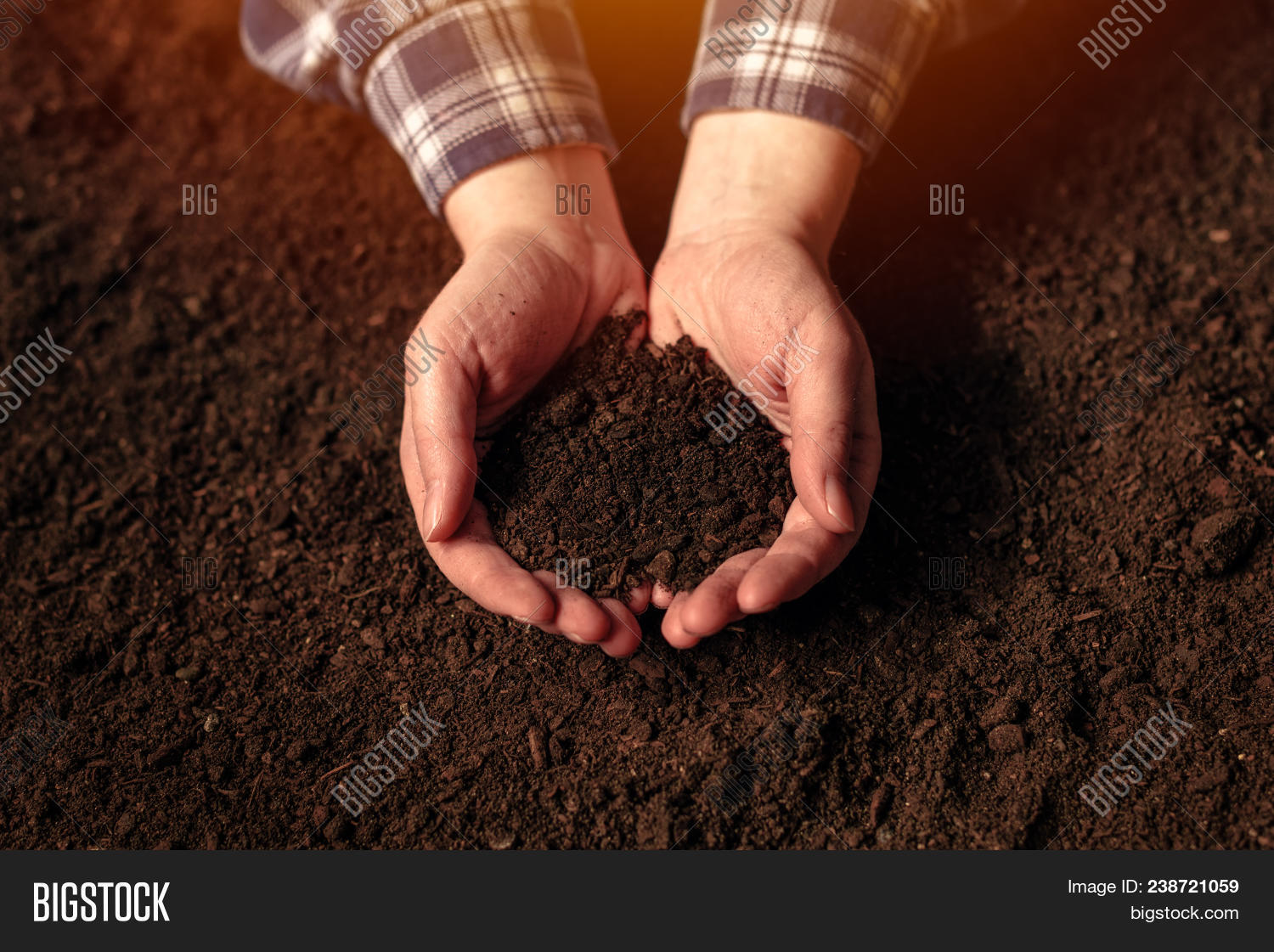 Soil Fertility Concept Image & Photo (Free Trial) | Bigstock