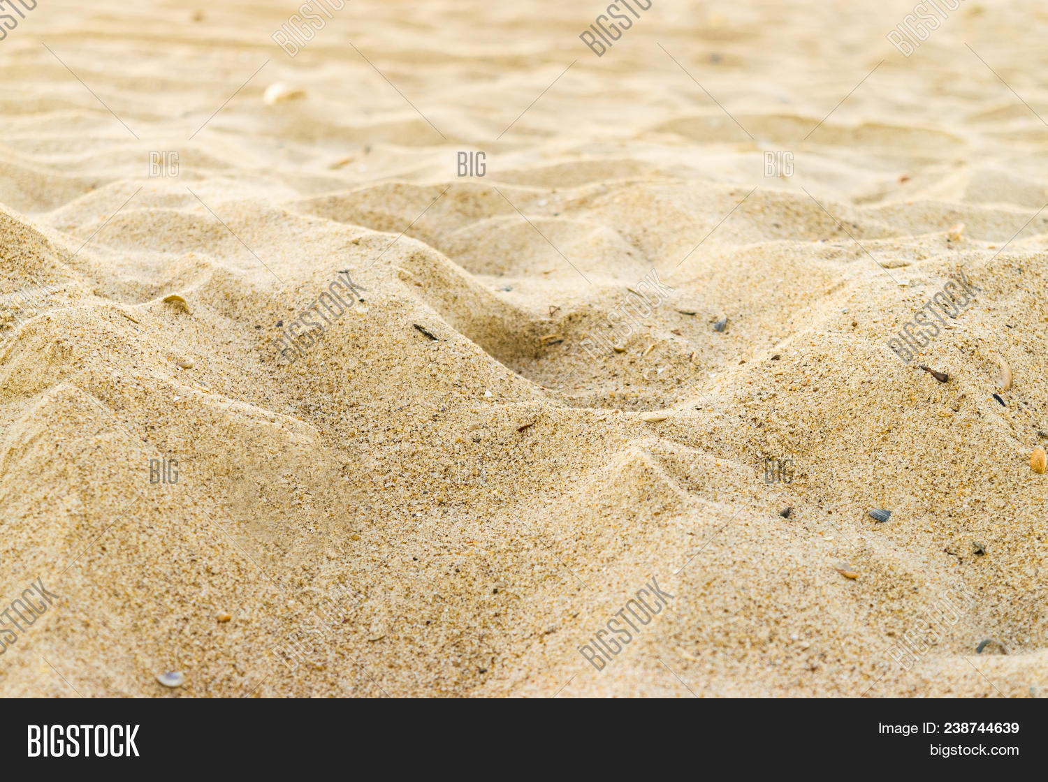 Close Beach Sand Image & Photo (Free Trial) | Bigstock