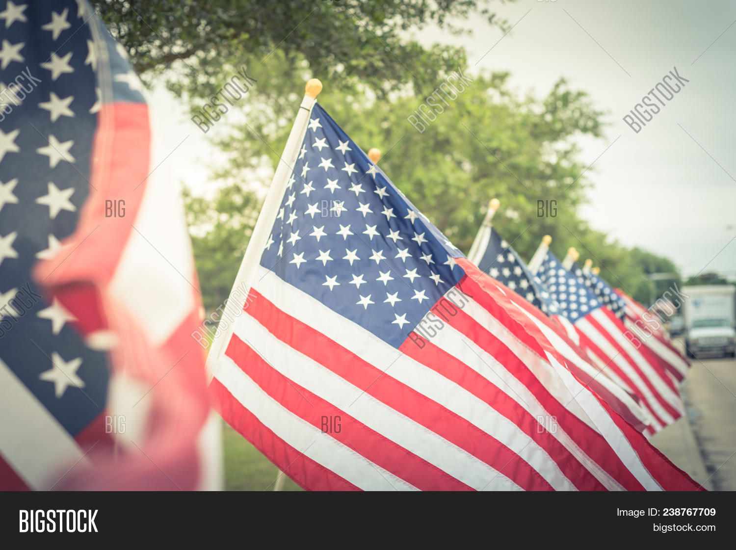 Long Row Lawn American Image & Photo (Free Trial) | Bigstock