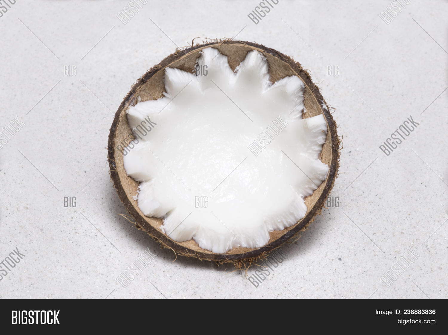 Half Coconut Shell Image & Photo (Free Trial) | Bigstock