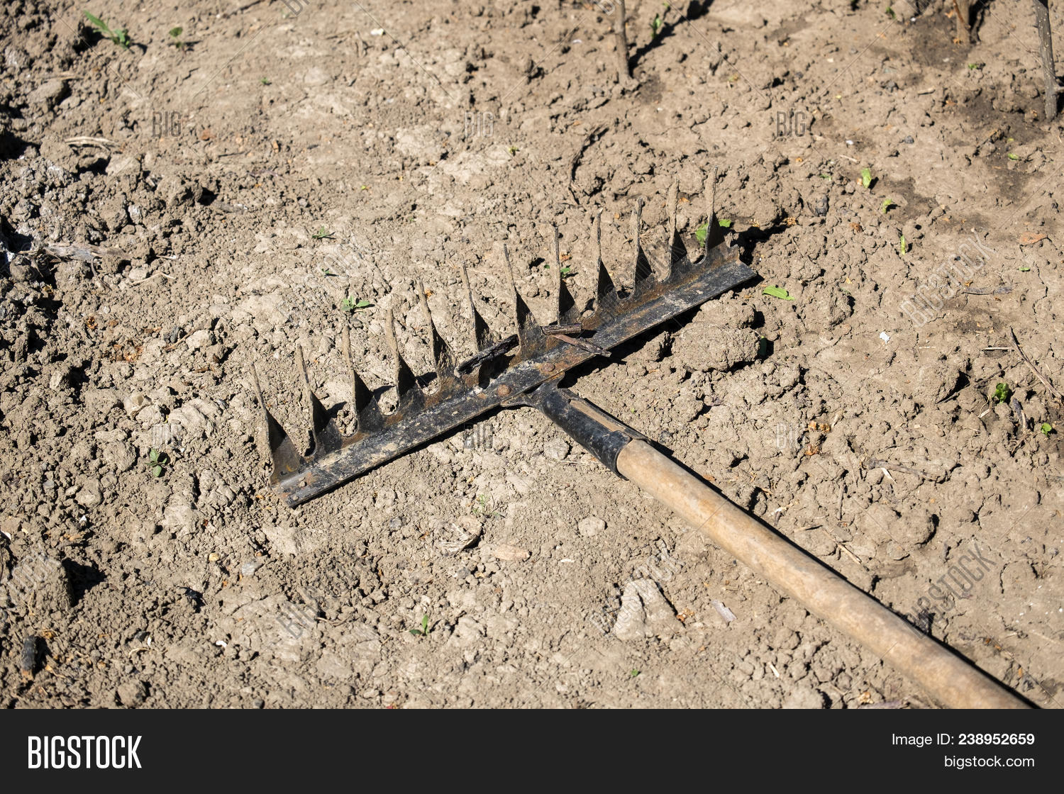 Garden Rakes On Ground Image & Photo (Free Trial) | Bigstock