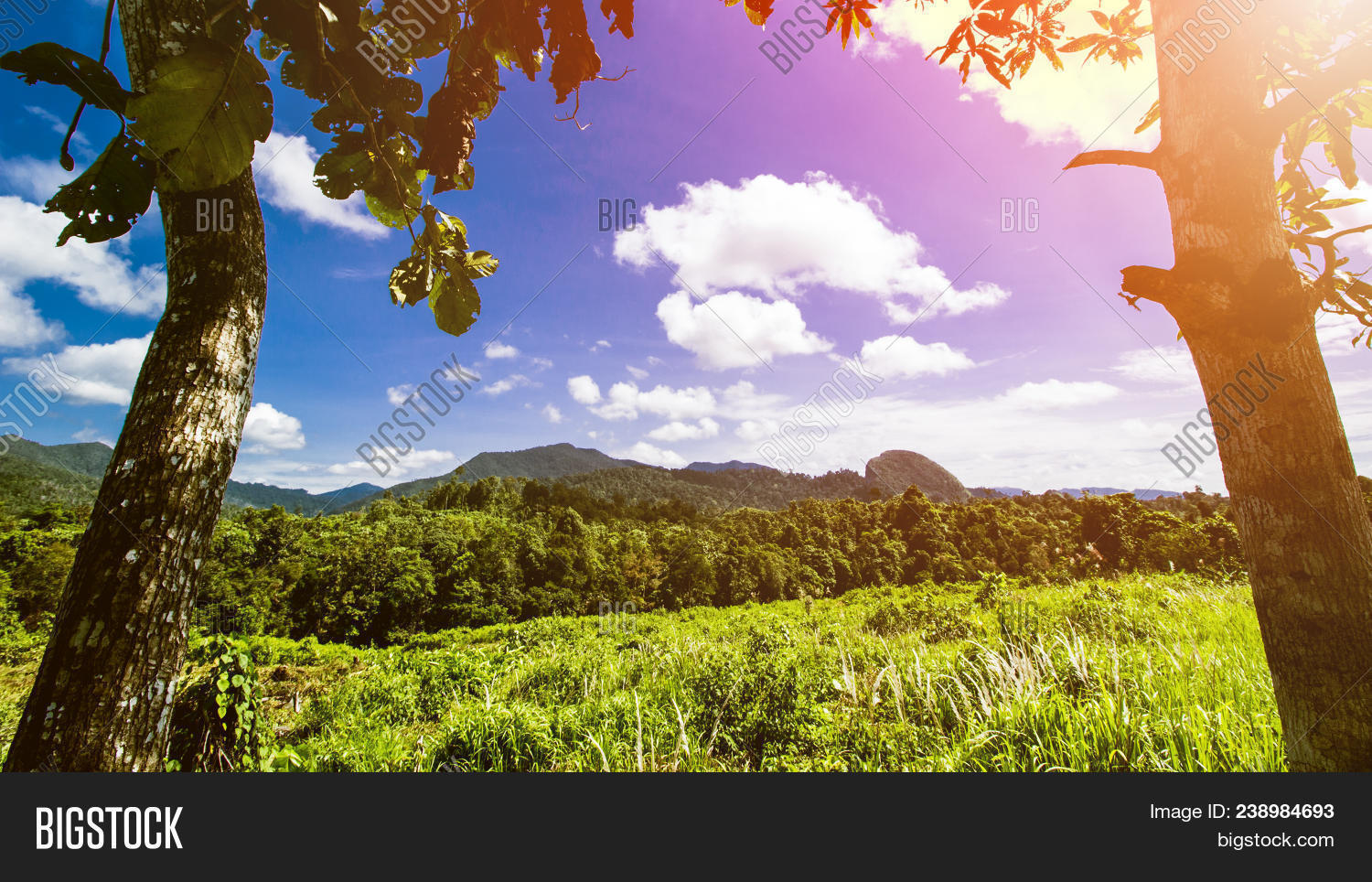 Tropical Landscape, Image & Photo (Free Trial) | Bigstock