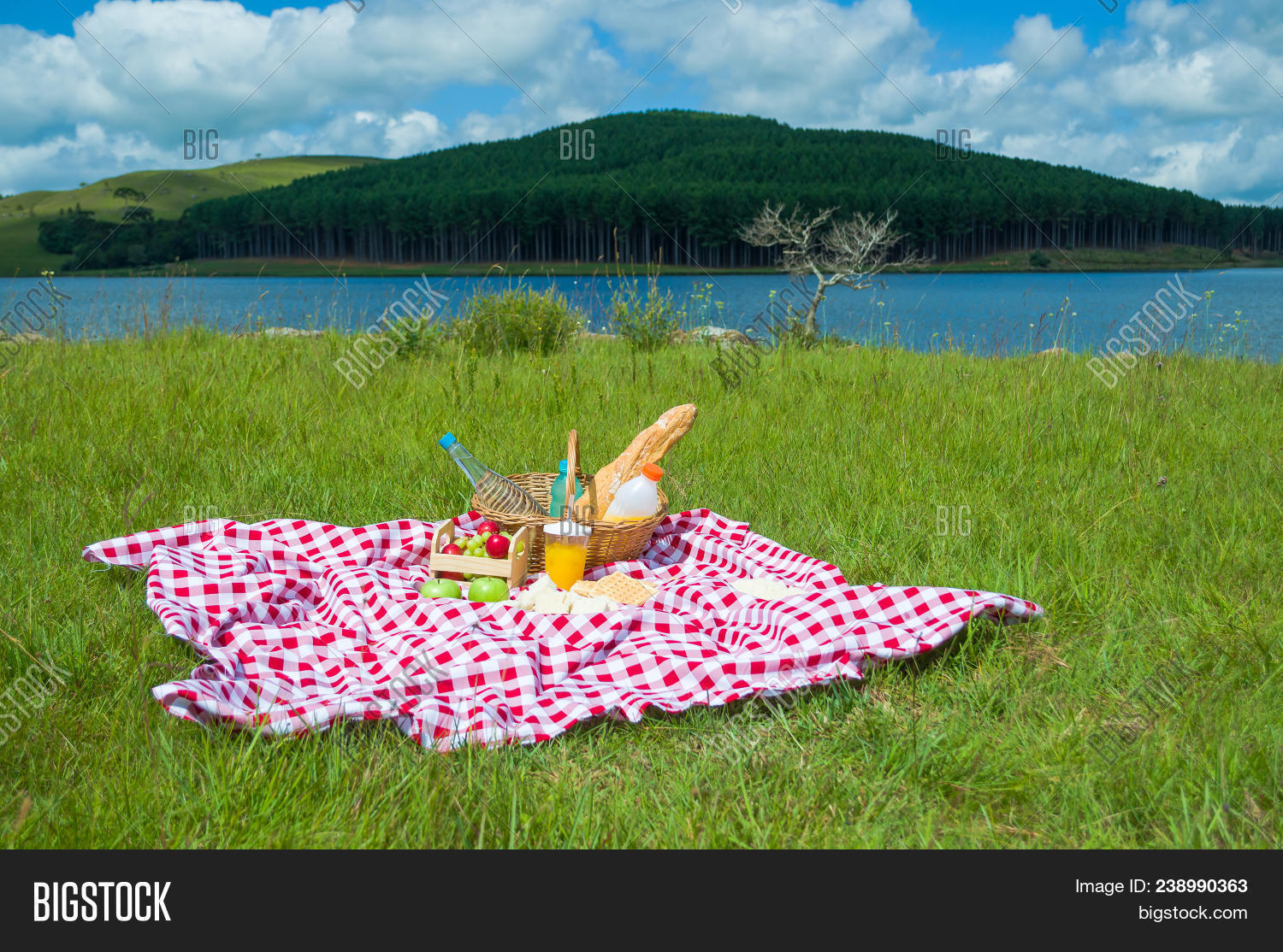 Great Concept Pic-nic Image & Photo (Free Trial) | Bigstock
