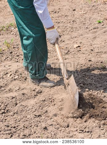 Dig Images, Illustrations, Vectors - Dig Stock Photos & Images | Bigstock