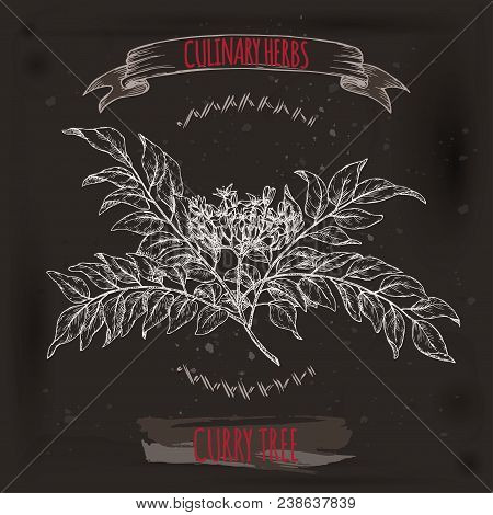 Branch Curry Tree Aka Vector & Photo (Free Trial) | Bigstock