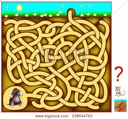 Logic Puzzle Game Vector & Photo (Free Trial) | Bigstock