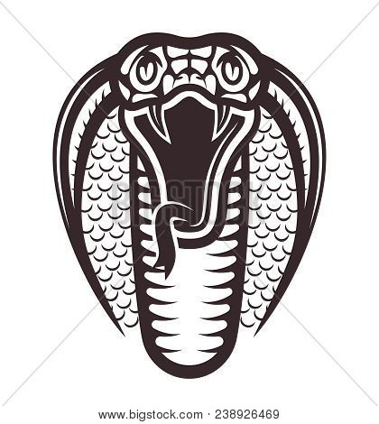 Cobra Front View Vector & Photo (Free Trial) | Bigstock