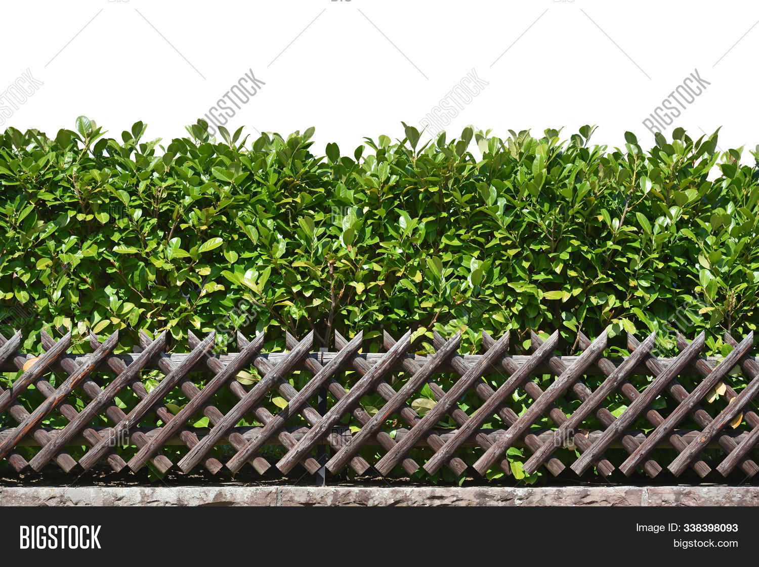 Beautiful Wooden Image & Photo (Free Trial) | Bigstock