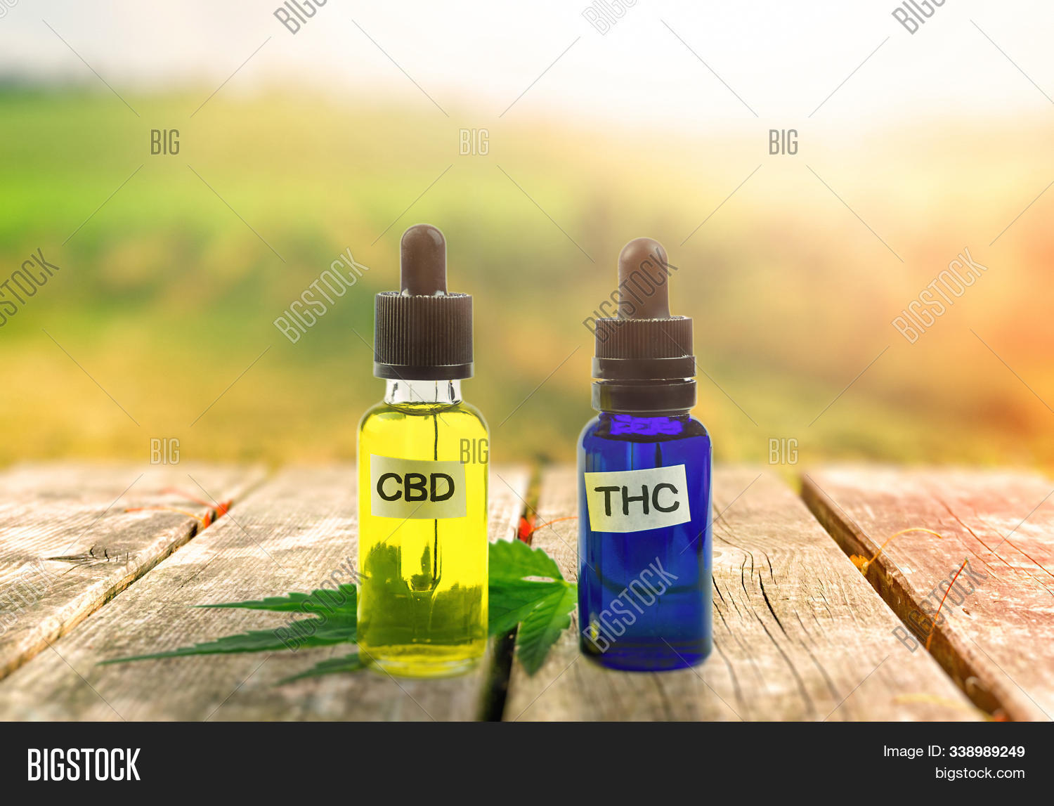 Thc Cbd Oil Bottles On Image & Photo (Free Trial) | Bigstock