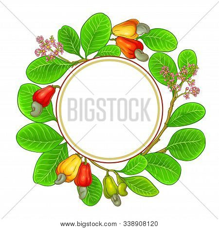 Cashew Branches Vector & Photo (Free Trial) | Bigstock