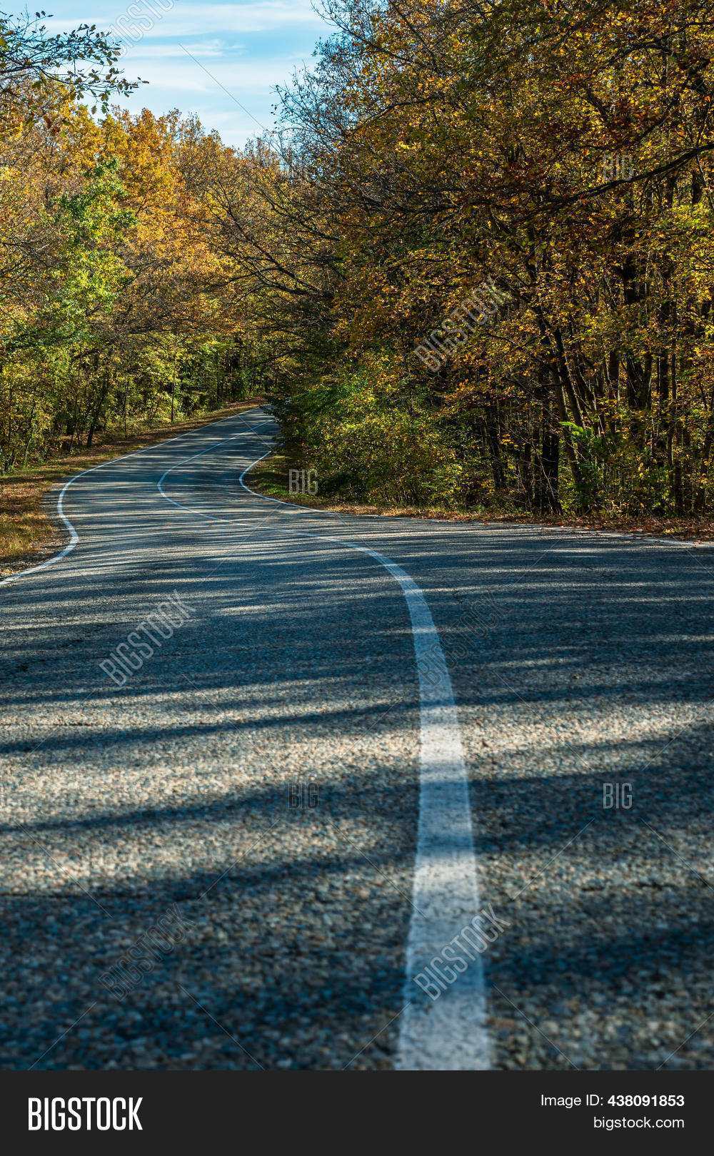 White Stripe Markings Image & Photo (Free Trial) | Bigstock