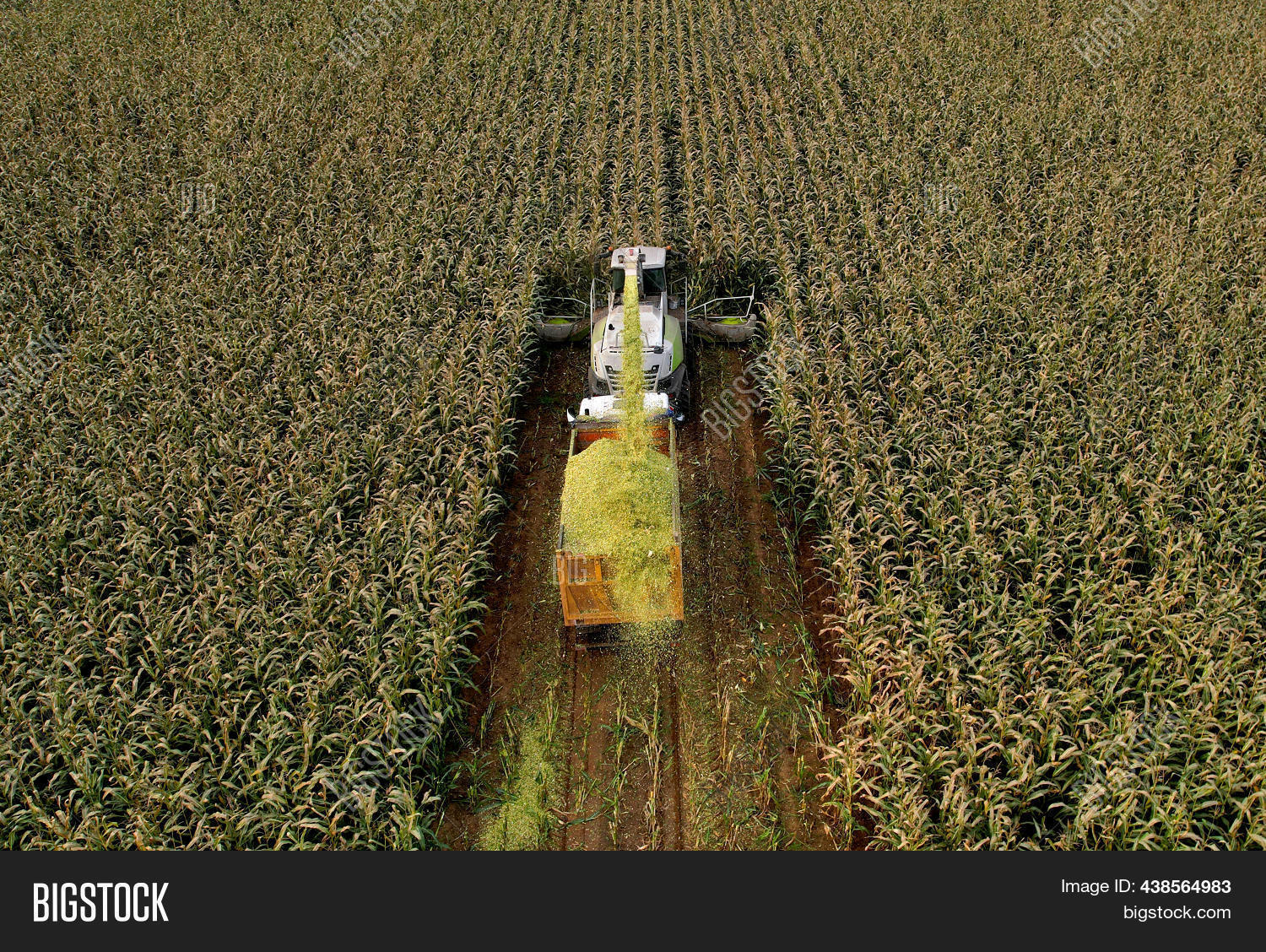 Forage Harvester On Image & Photo (Free Trial) | Bigstock