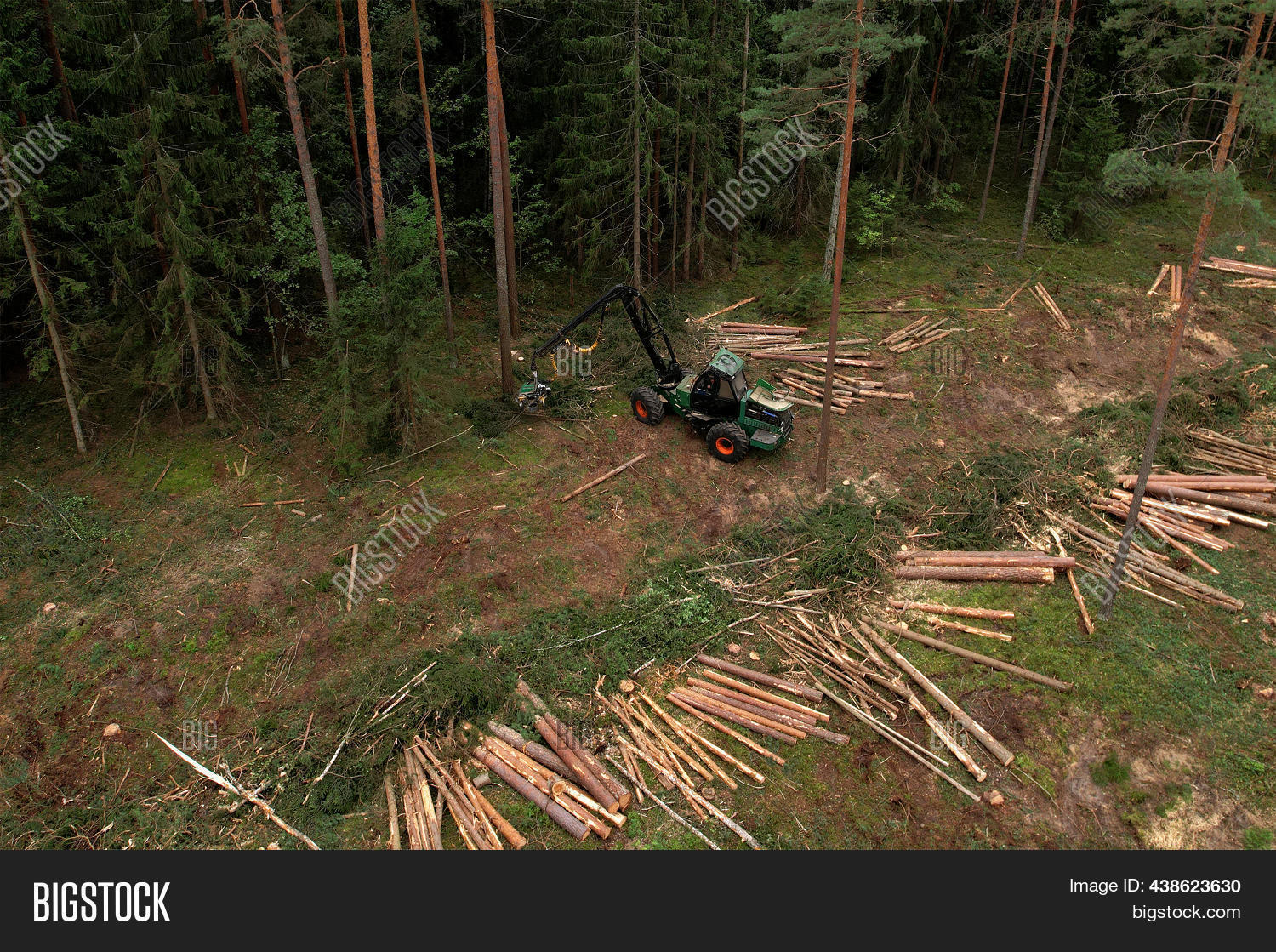 Forest Harvester Image & Photo (Free Trial) | Bigstock