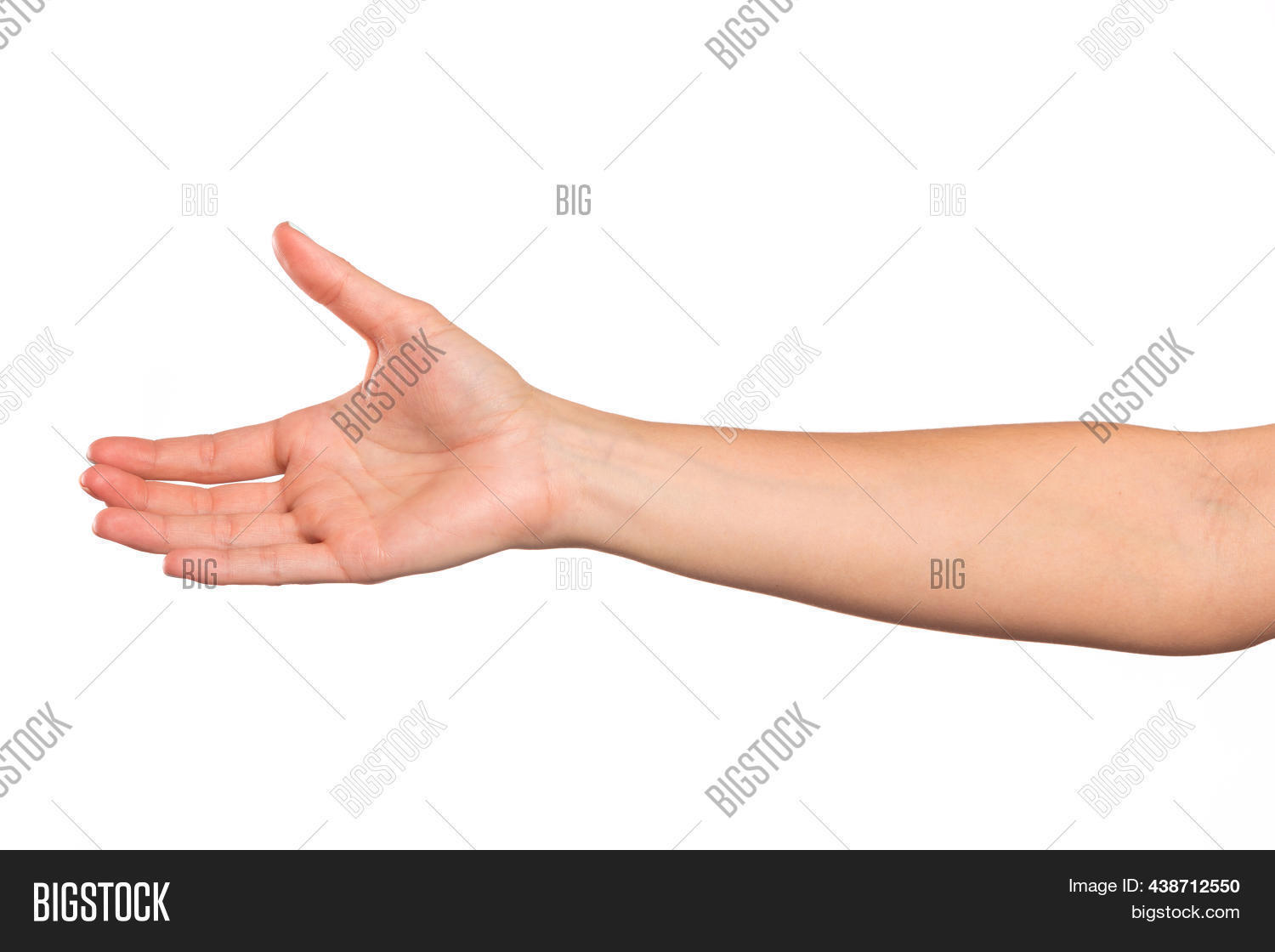 Female Hand Isolated Image & Photo (Free Trial) | Bigstock