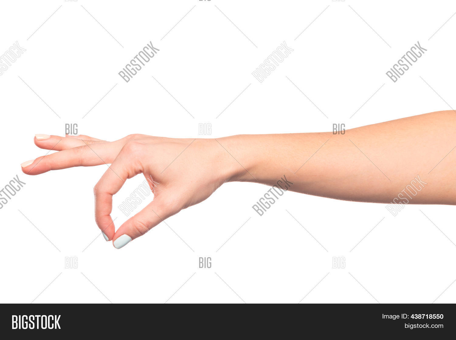 Female Hand Isolated Image & Photo (Free Trial) | Bigstock