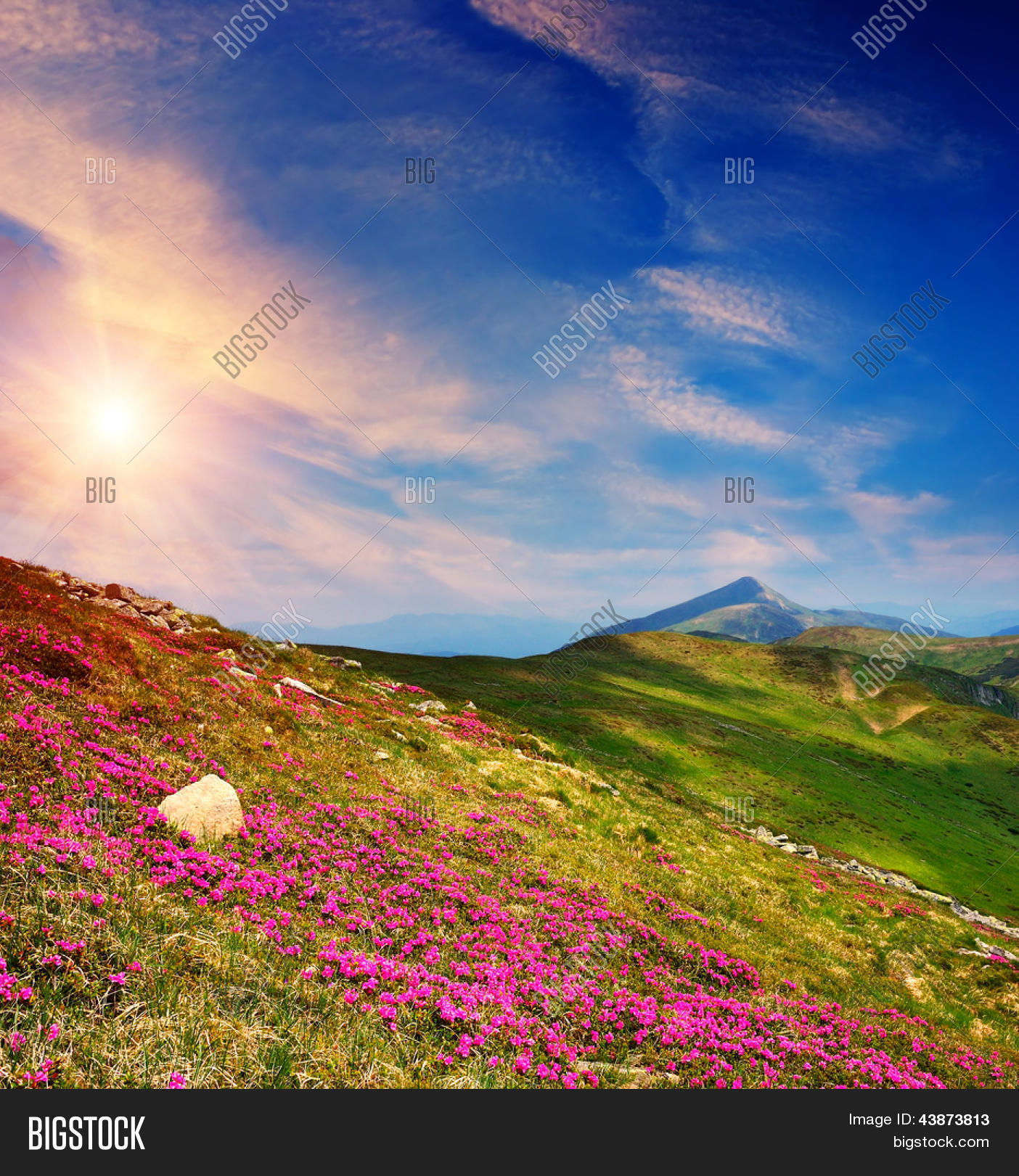 Beautiful Sunny Image & Photo (Free Trial) | Bigstock