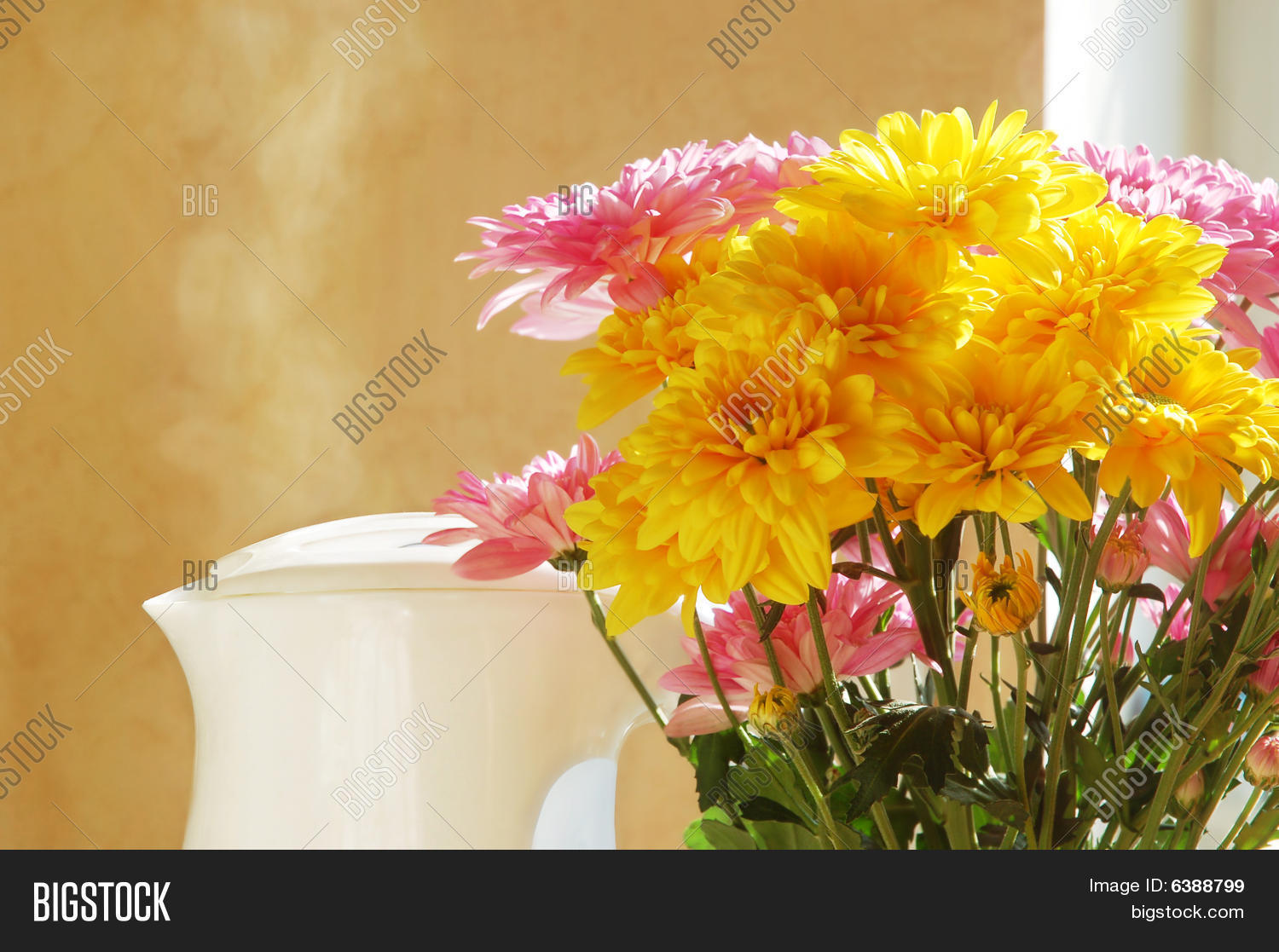 Morning Still Life Image & Photo (Free Trial) | Bigstock