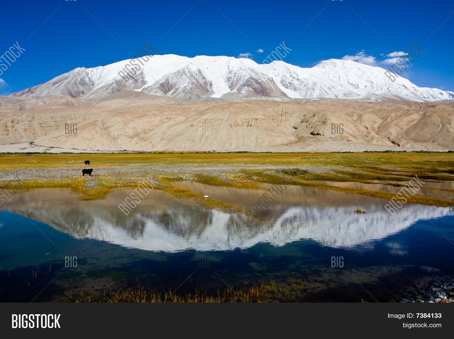 Fall Pamirs Xinjiang Image & Photo (Free Trial) | Bigstock
