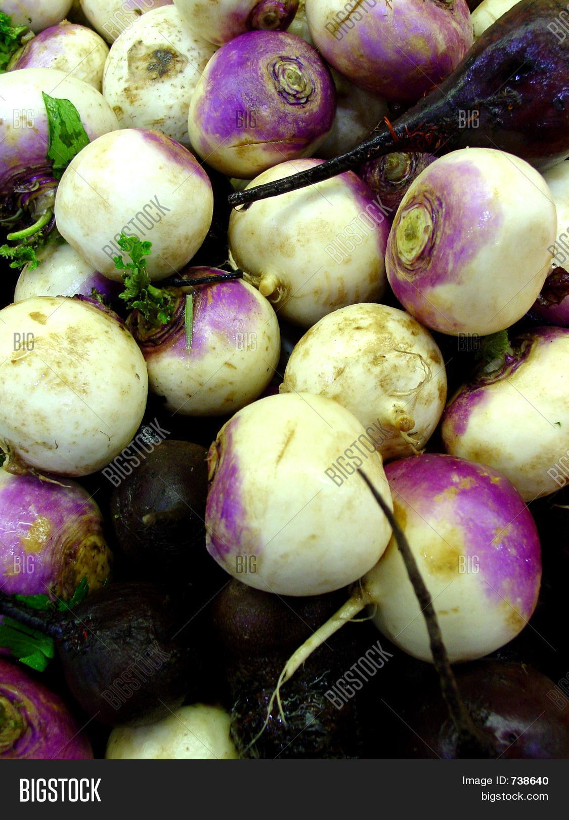 Stock Beets Image & Photo (Free Trial) | Bigstock