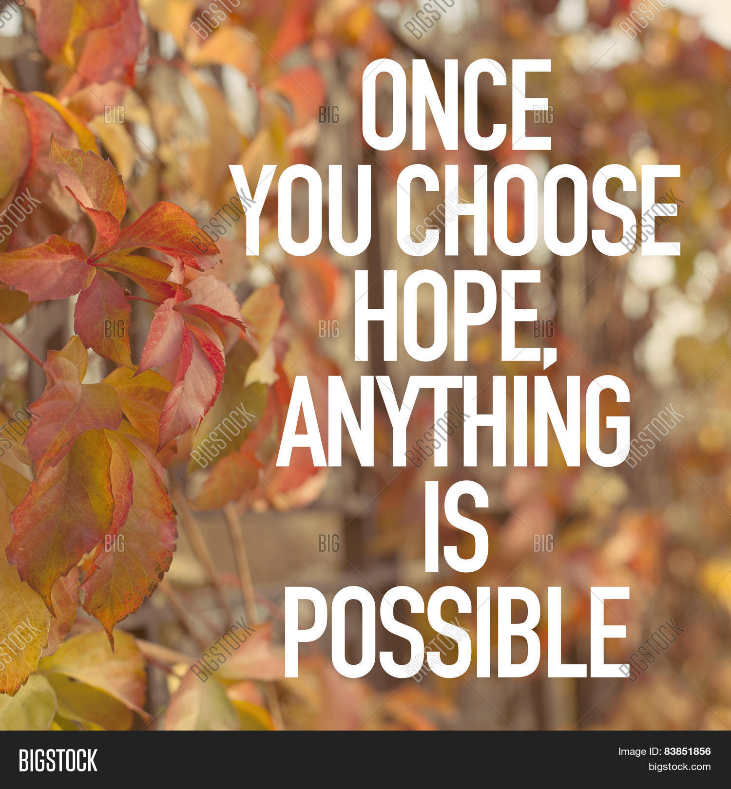 Once You Choose Hope Image & Photo (Free Trial) | Bigstock