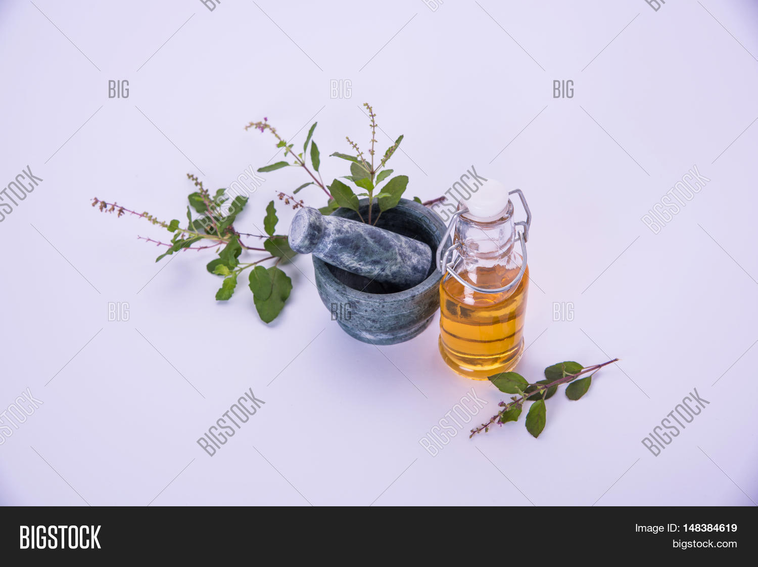 Tulsi Oil Holy Basil Image & Photo (Free Trial) | Bigstock