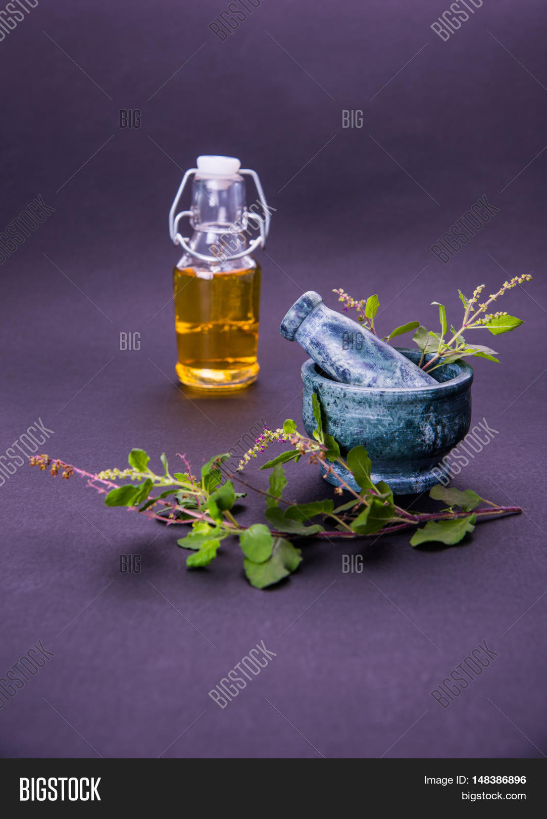 Tulsi Oil Holy Basil Image & Photo (Free Trial) | Bigstock