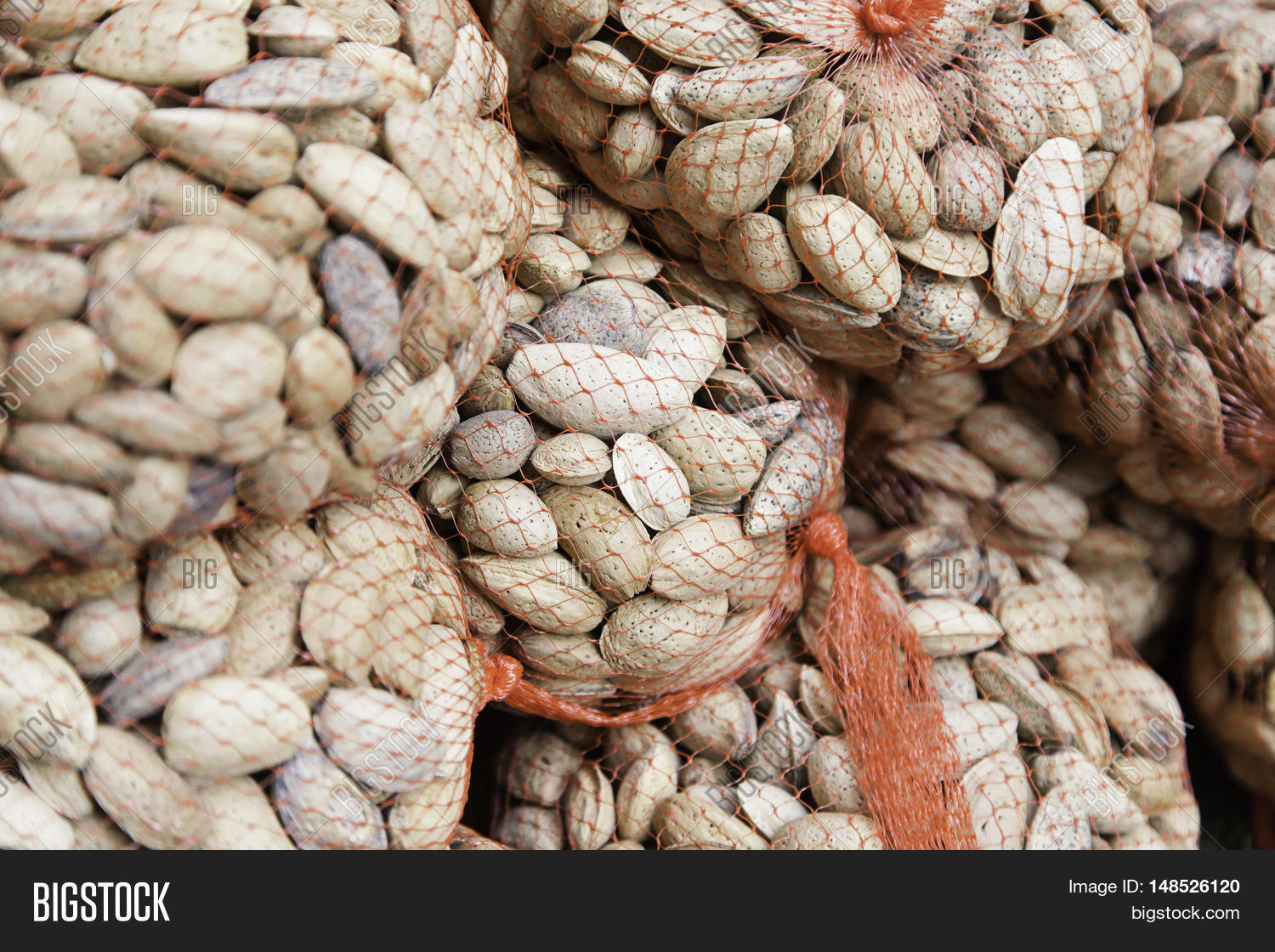 Raw Almonds Shell Image & Photo (Free Trial) | Bigstock