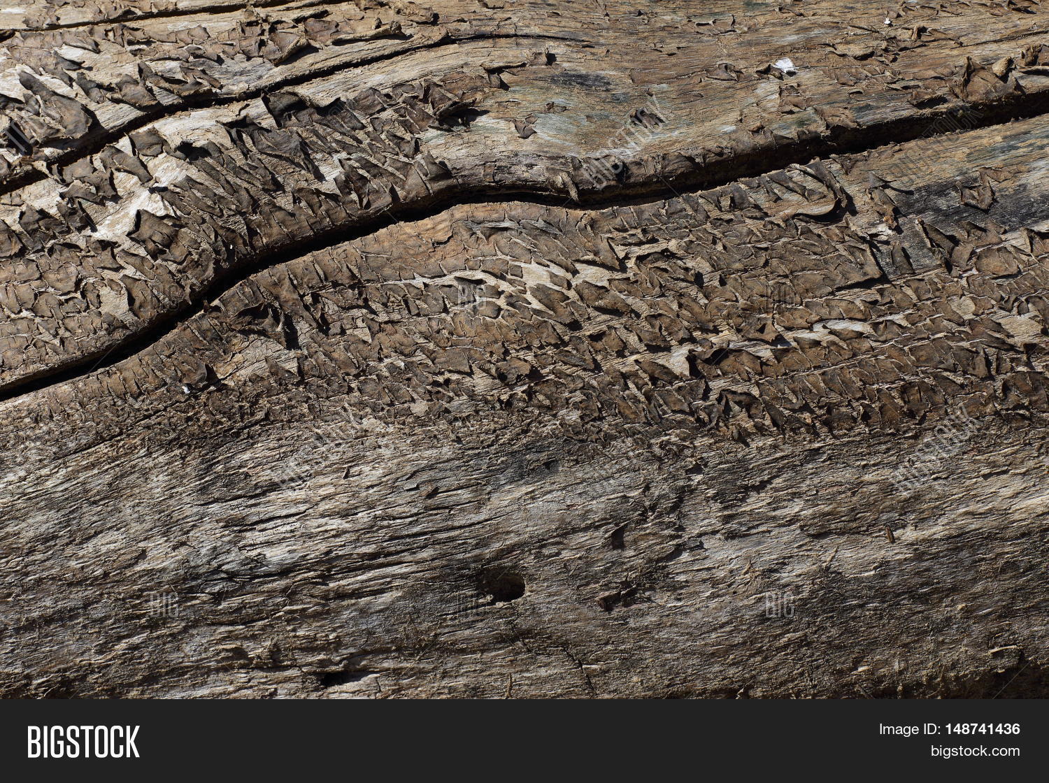Rough Old Wood Texture Image & Photo (Free Trial) | Bigstock