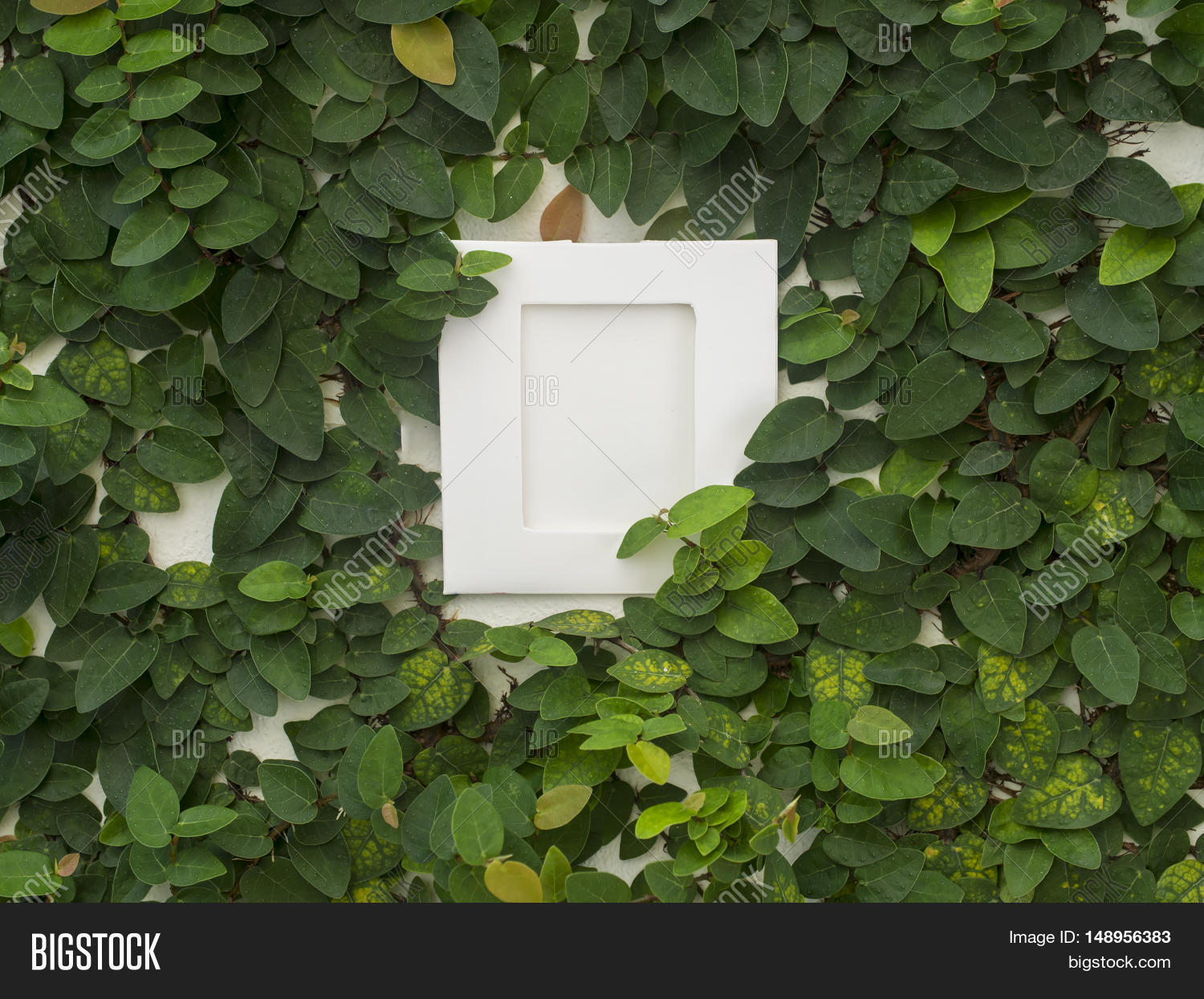 Abstract Green Wall Image & Photo (Free Trial) | Bigstock