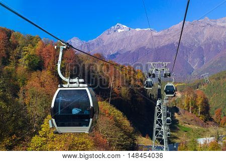 Mountain Zipline Image & Photo (Free Trial) | Bigstock