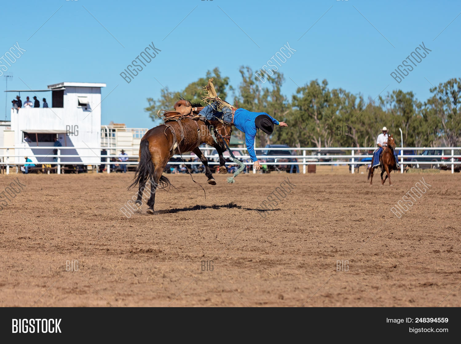 Cowboy Riding Bucking Image & Photo (Free Trial) | Bigstock