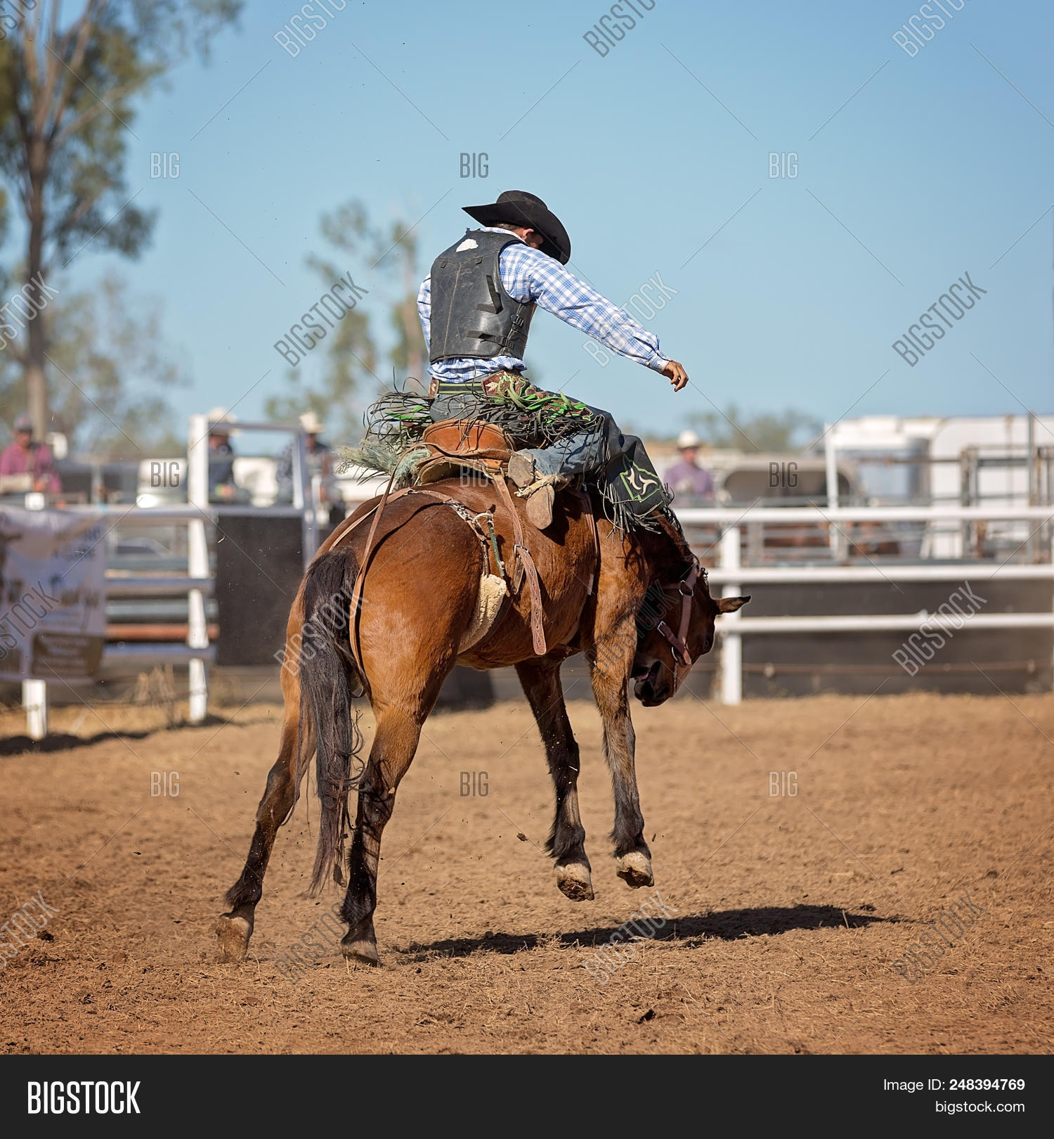 Cowboy Riding Bucking Image & Photo (Free Trial) | Bigstock