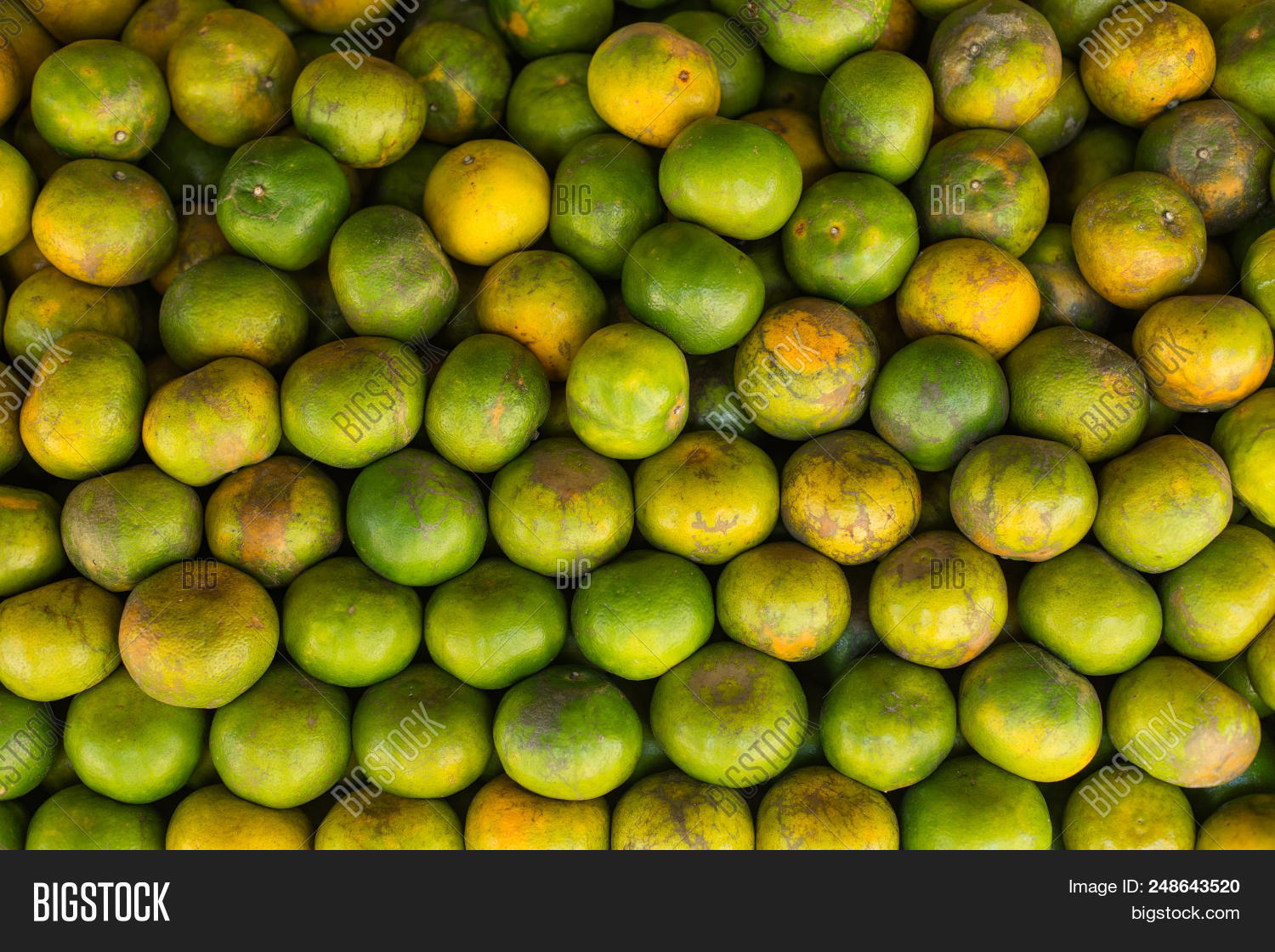 Tangerine, Thai Orange Image & Photo (Free Trial) | Bigstock