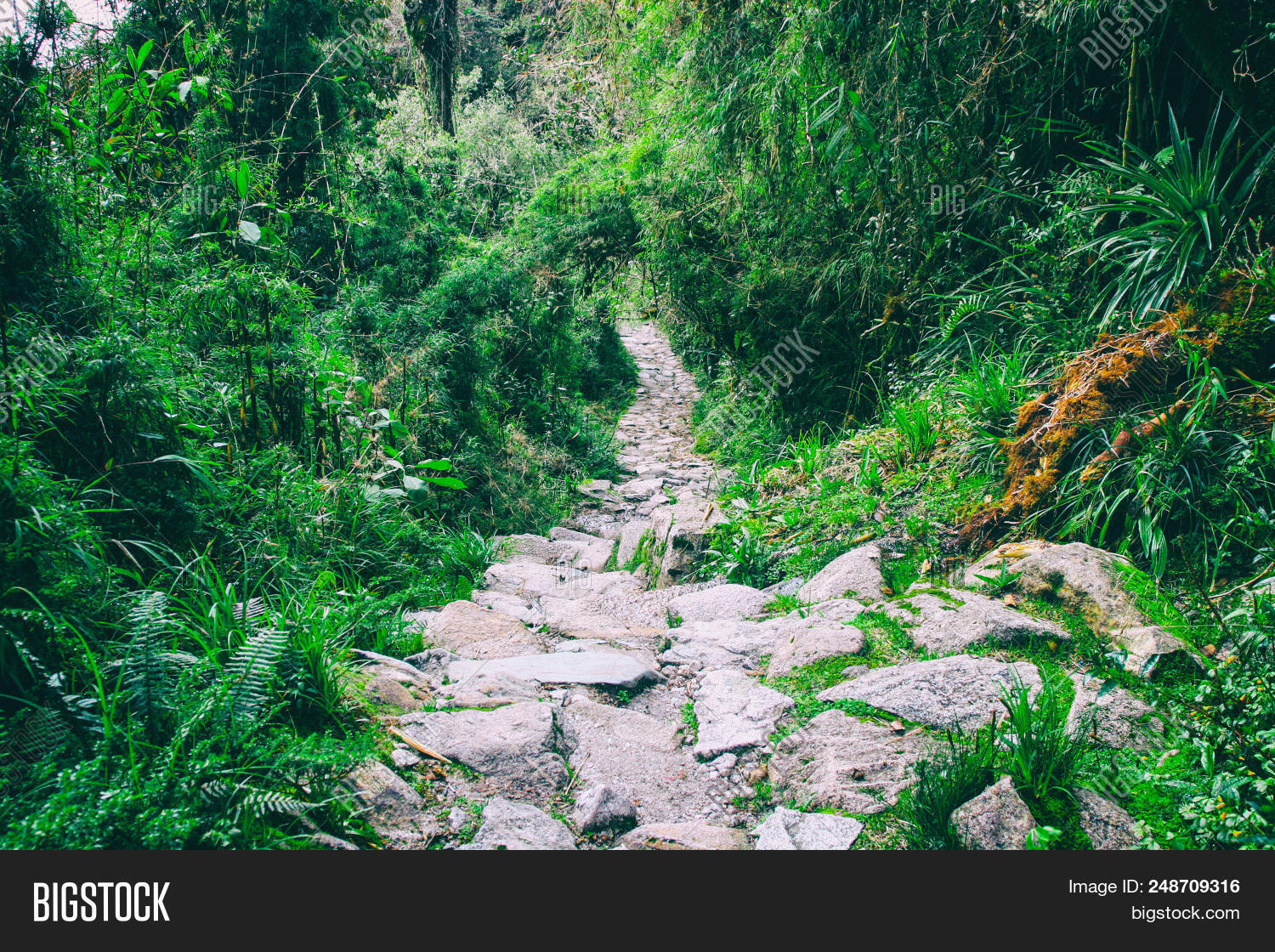 Stone Steps Inca Trail Image & Photo (Free Trial) | Bigstock