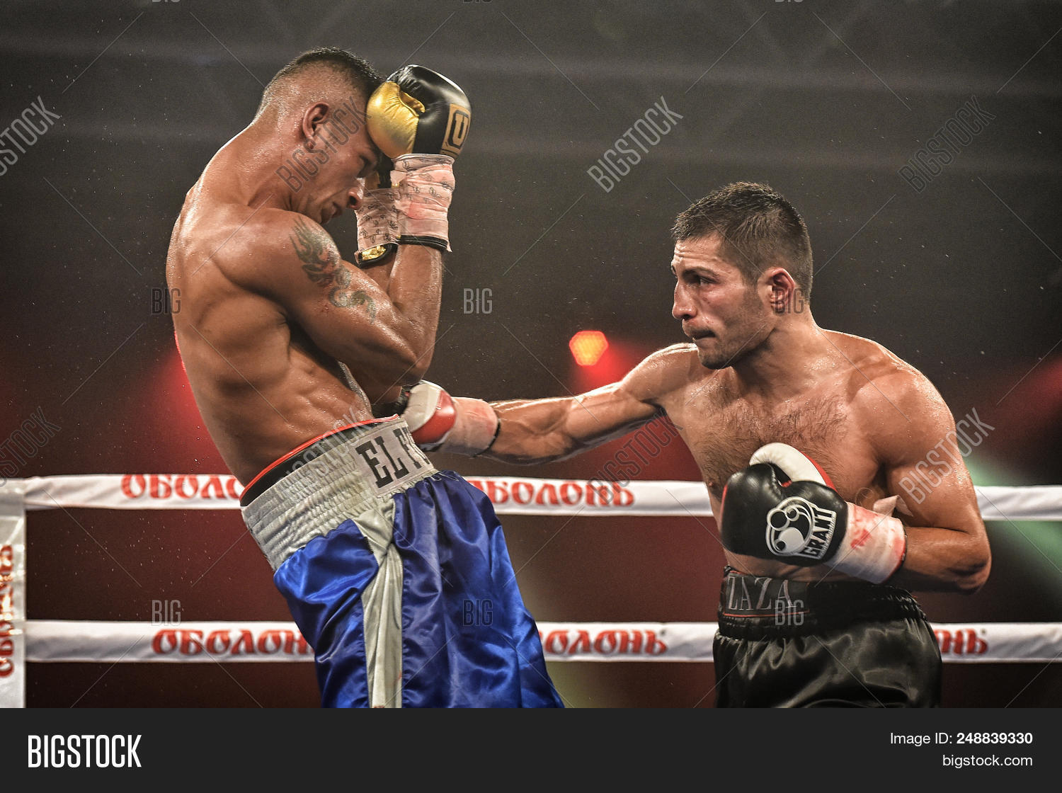 Unidentified Boxers Image & Photo (Free Trial) | Bigstock