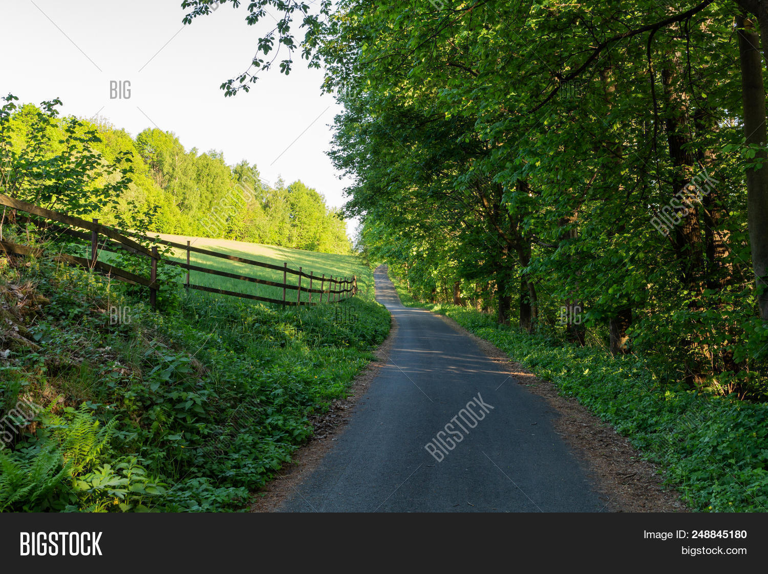 Cycling Nature Forest Image & Photo (Free Trial) | Bigstock