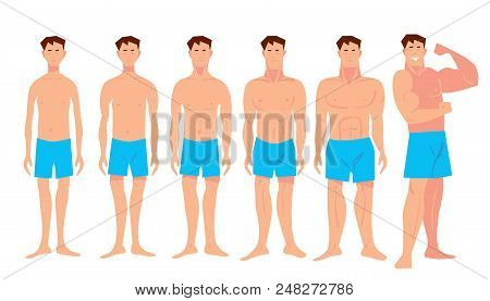 Stages Build Muscle. Image & Photo (Free Trial) | Bigstock