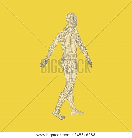 Walking Man. 3d Human Vector & Photo (Free Trial) | Bigstock