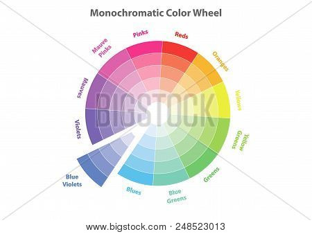 Monochromatic Color Vector & Photo (Free Trial) | Bigstock